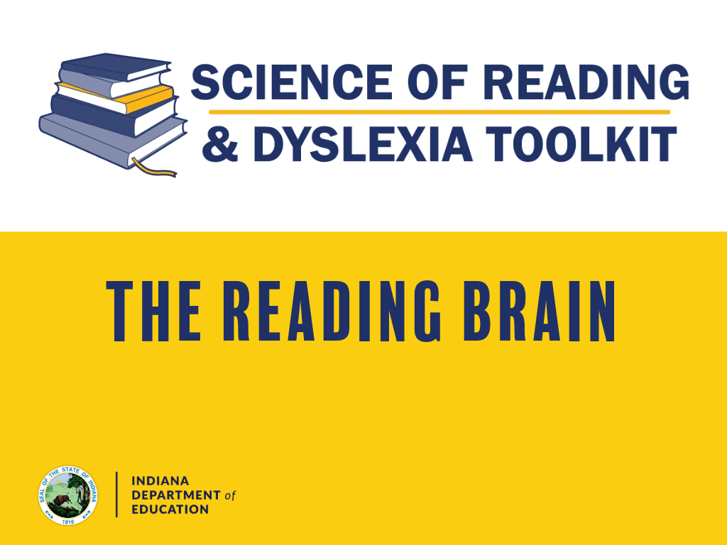 Learning Lab - The Reading Brain